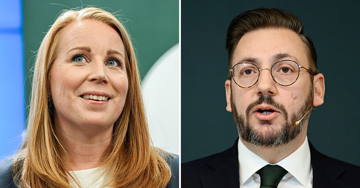 Muharrem Demirok föreslås bli ny partiledare för Centerpartiet | SVT ...