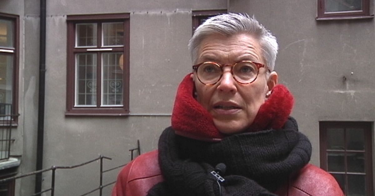 Tiina Rosenbergistä yliopiston rehtori | SVT Nyheter