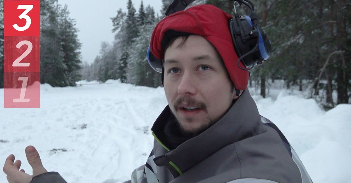 Tips från renskötaren Johan Andersson – så ska du göra om du möter renar på vägen | SVT Nyheter