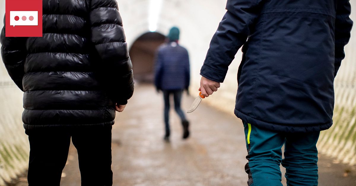 Experten: Detta gäller när barn misstänks för brott | SVT Nyheter