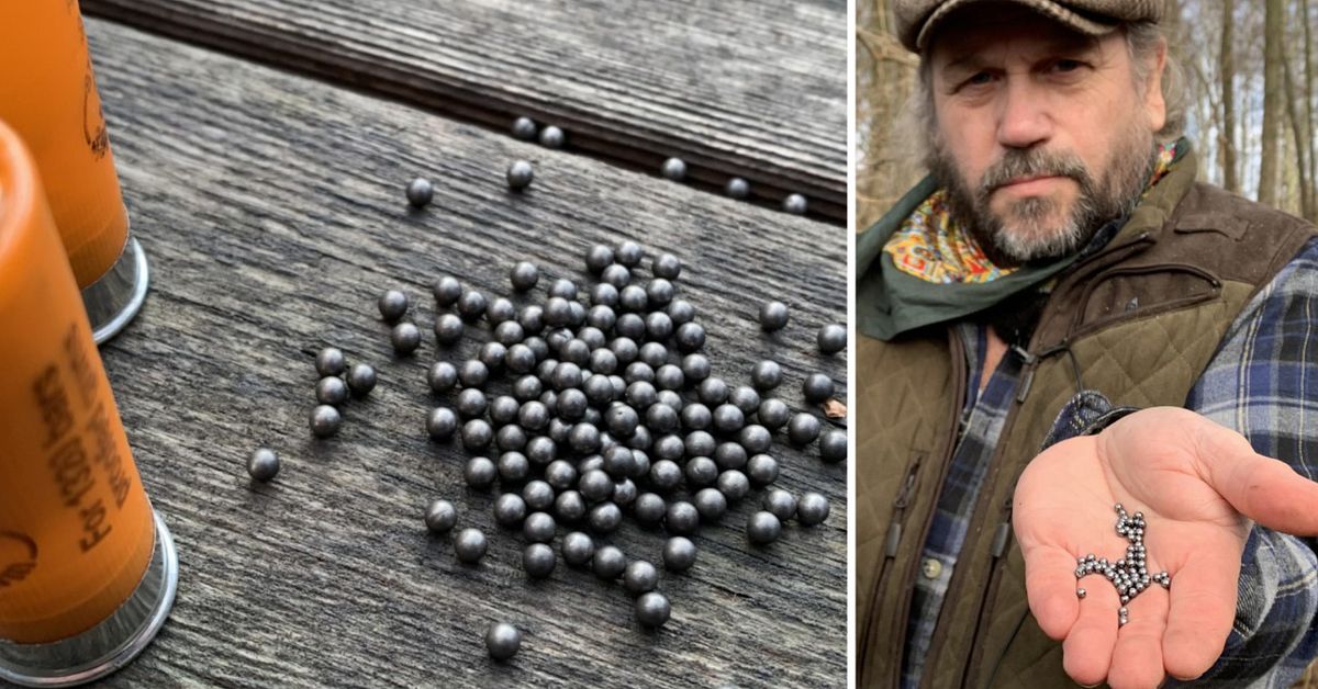 Jägareförbundet: ”Flera nackdelar med att ersätta bly med stålhagel ...