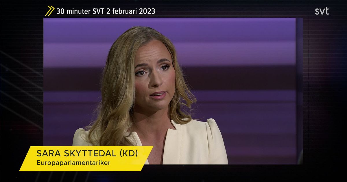 Skyttedal bryter tystnaden efter Ingerös avgång | SVT Nyheter