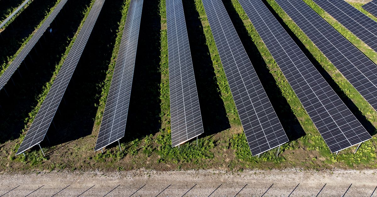 Stor solcellspark ska byggas i Boden | SVT Nyheter