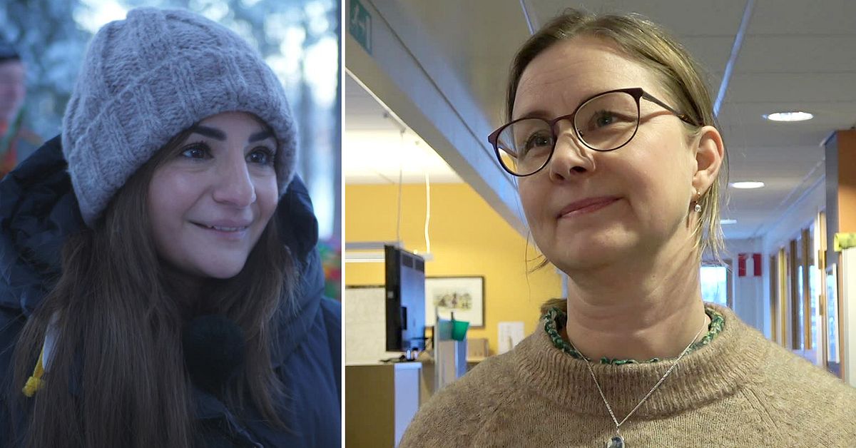 Experten om Parisa Liljestrand: ”Hon är representativ för okunskapen i samhället” | SVT Nyheter