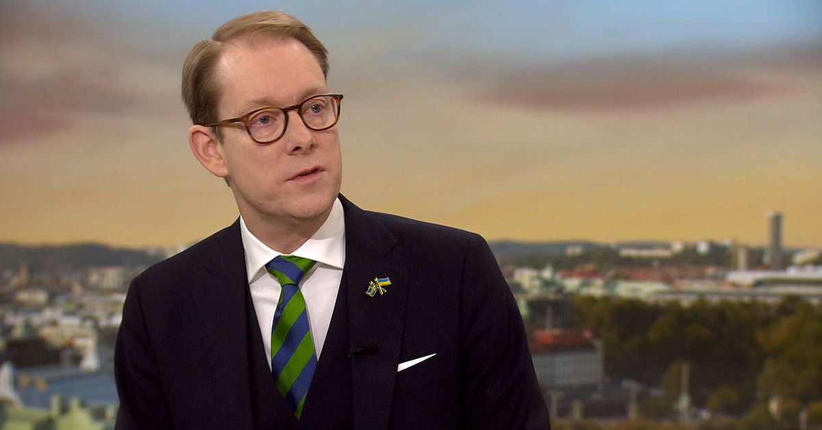 Billström (M) om Sveriges utrikespolitik: ”Vi befinner oss i en ny tid” | SVT Nyheter
