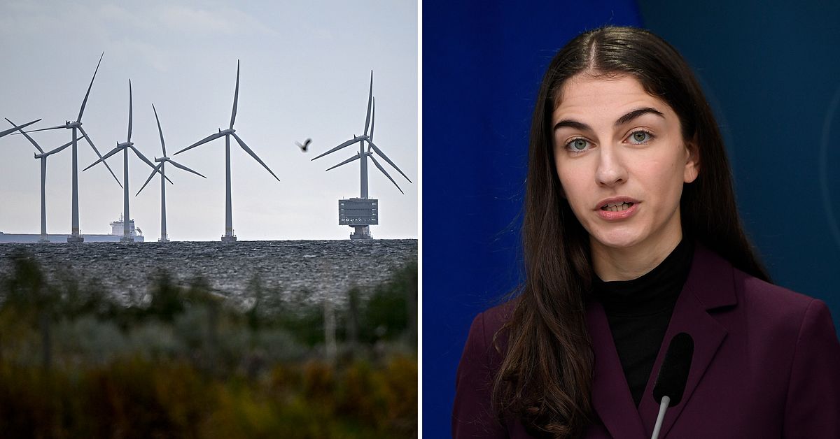 Regeringen säger ja till vindkraftsparken vid Kriegers flak | SVT Nyheter