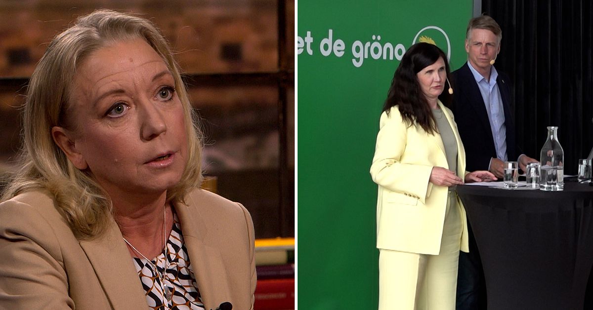 Elisabeth Marmorstein om MP:s kris: ”Har framställts som roten till det ...