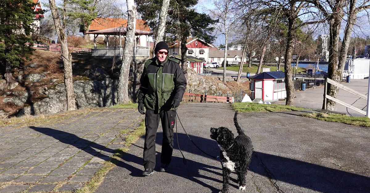 Hundföraren Kenneth om försvunne Patrik: ”Man har missat det område som ...
