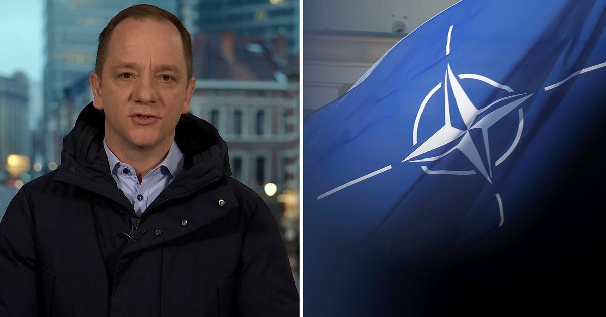 Sverige och Finland möter Turkiet efter koranbränningarna – ”Ganska ...