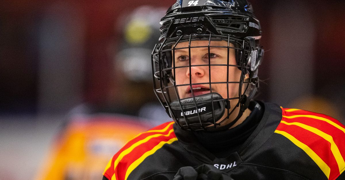 Ishockey: Anna Meixner: ”Hatade tränaren så mycket – men nu är jag ...