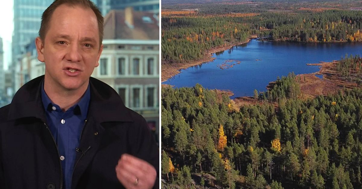 Så blir EU:s nya plan för snabbare gruvtillstånd | SVT Nyheter