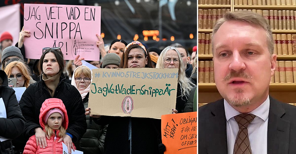 Experterna: Därför kommer ”snippa-fallet” prövas i HD | SVT Nyheter