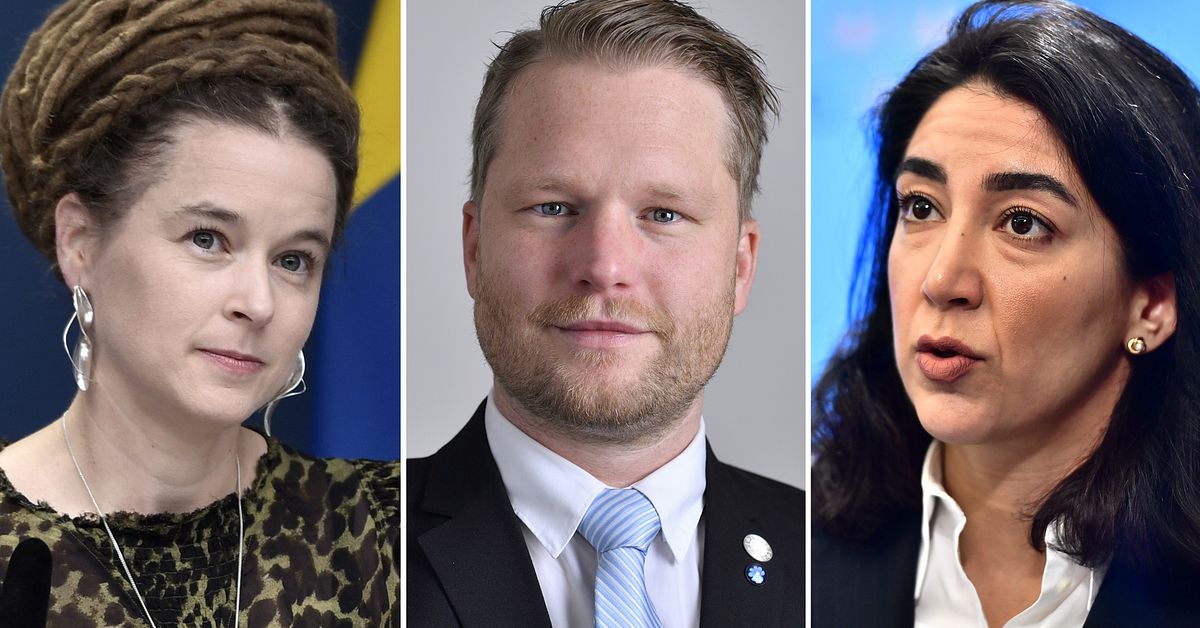De ska utreda public services framtid | SVT Nyheter