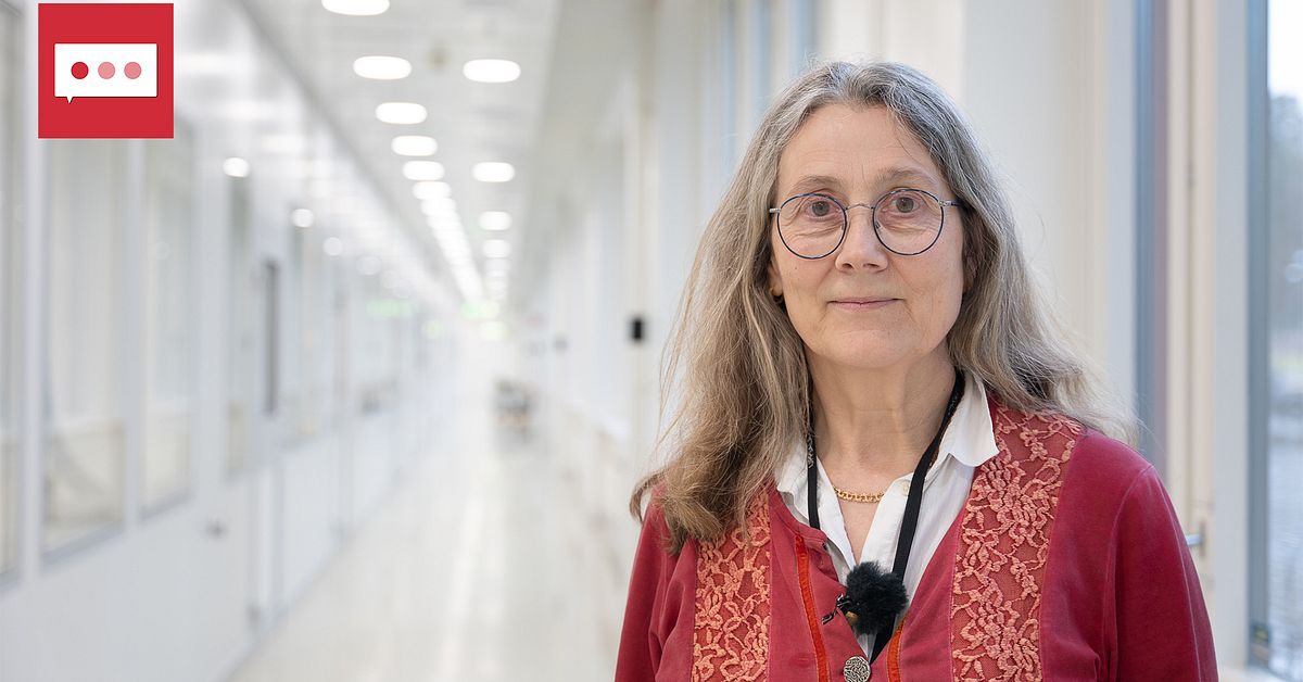 Experten: Därför har solcellsparker blivit populärt | SVT Nyheter