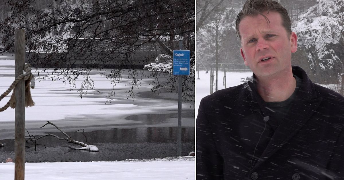 Efter år av sanering – nu blir Vinterviken officiell badplats | SVT Nyheter