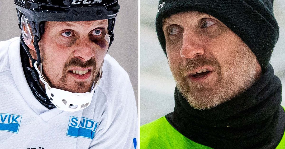 Bandy: Legendarisk duo tar över Sandvikens AIK | SVT Sport