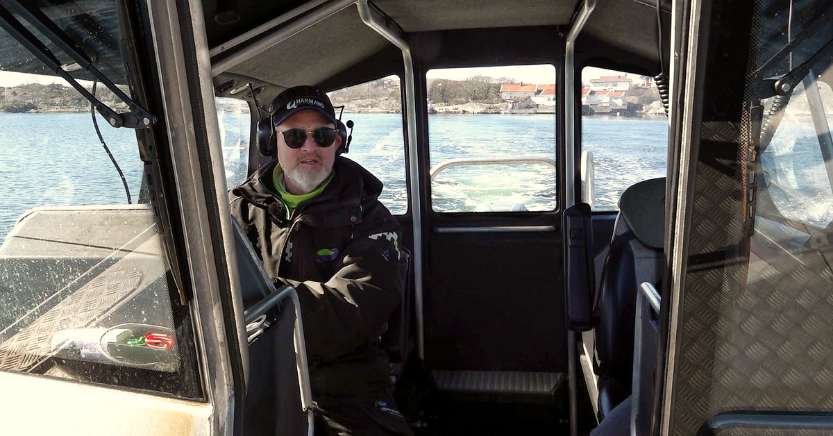 Pengarna borta för naturförvaltaren John: ”En smäll i ansiktet” | SVT ...