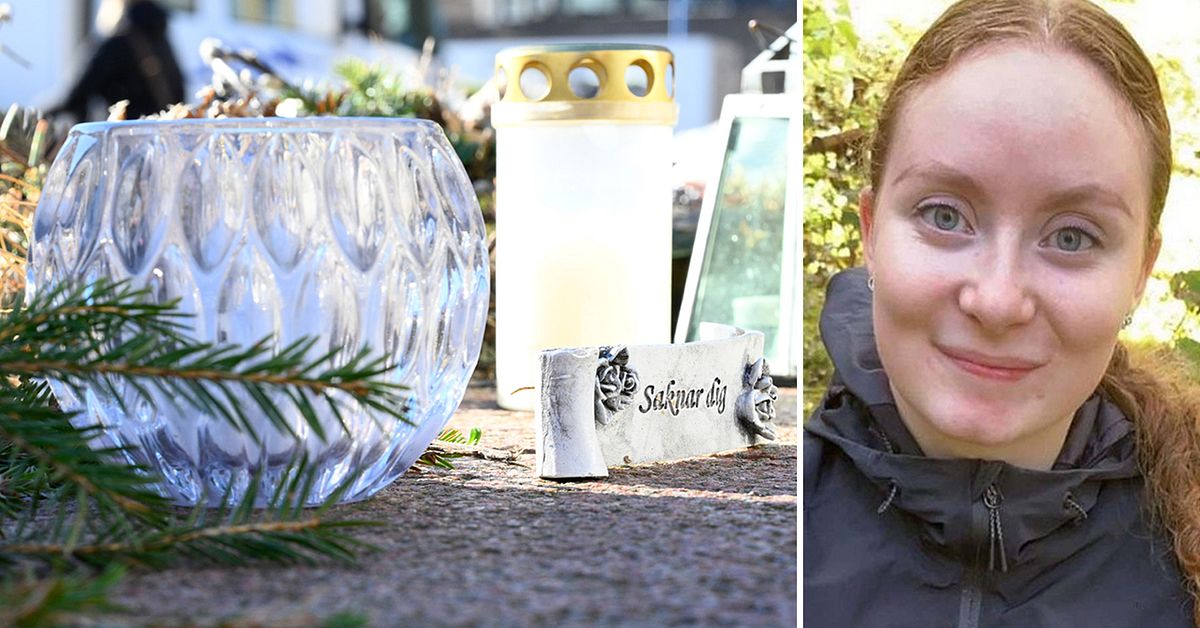 Tre saker som tingsrätten tar ställning till i fallet Tove | SVT Nyheter