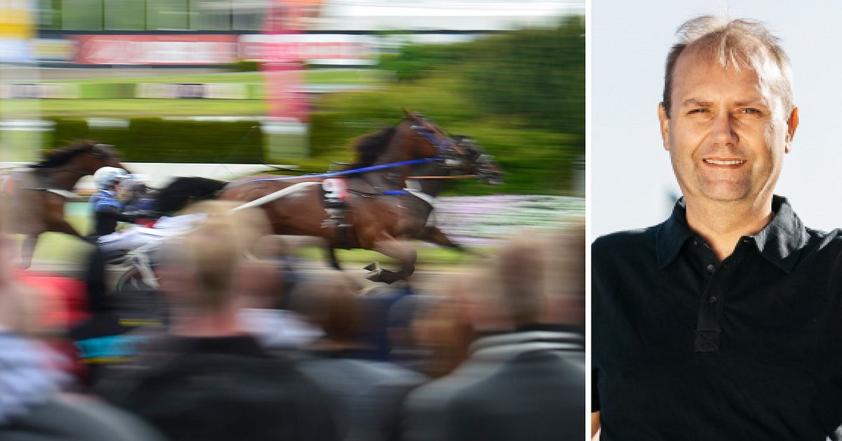 Masskrock på Bollnästravet – kuskar överkörda av hästarna | SVT Nyheter