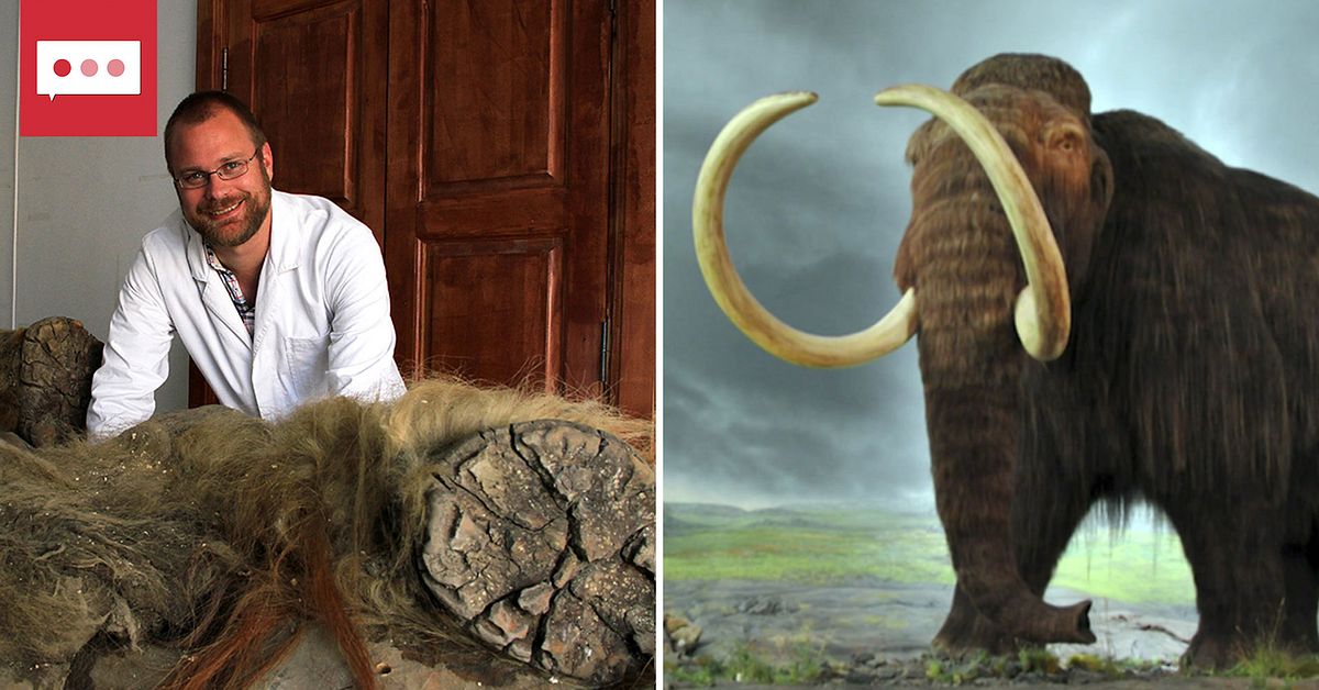 DNA avslöjar: Så överlevde den ullhåriga mammuten Sibiriens kyla under ...