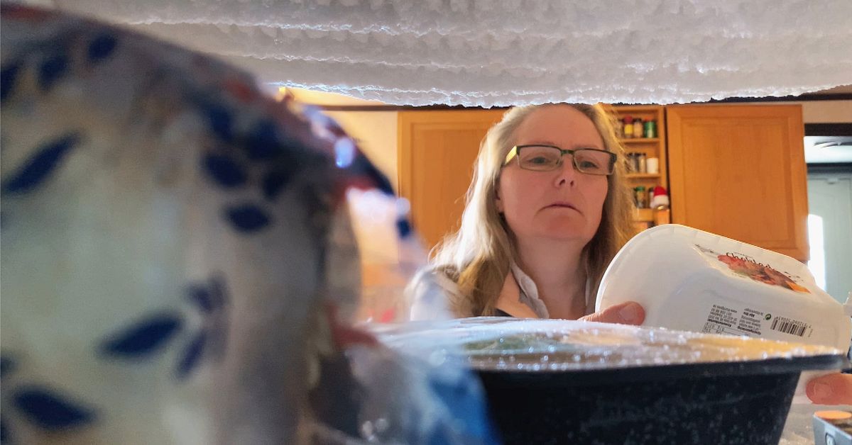 Ett besökarinlägg i "Catrin tömmer frysen och handlar mindre – sänker ...