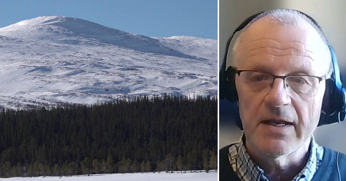 40 miljoner till skydd av skog – så långt räcker pengarna | SVT Nyheter