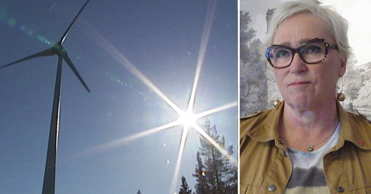 Kalix planerar gigantisk vindkraftpark – tycker utredningen är otydlig ...