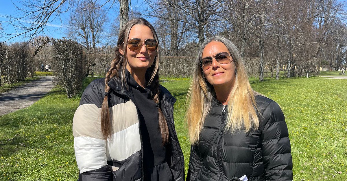 Pollenexplosion: ”Jag har aldrig upplevt så mycket björkpollen som i år” | SVT Nyheter