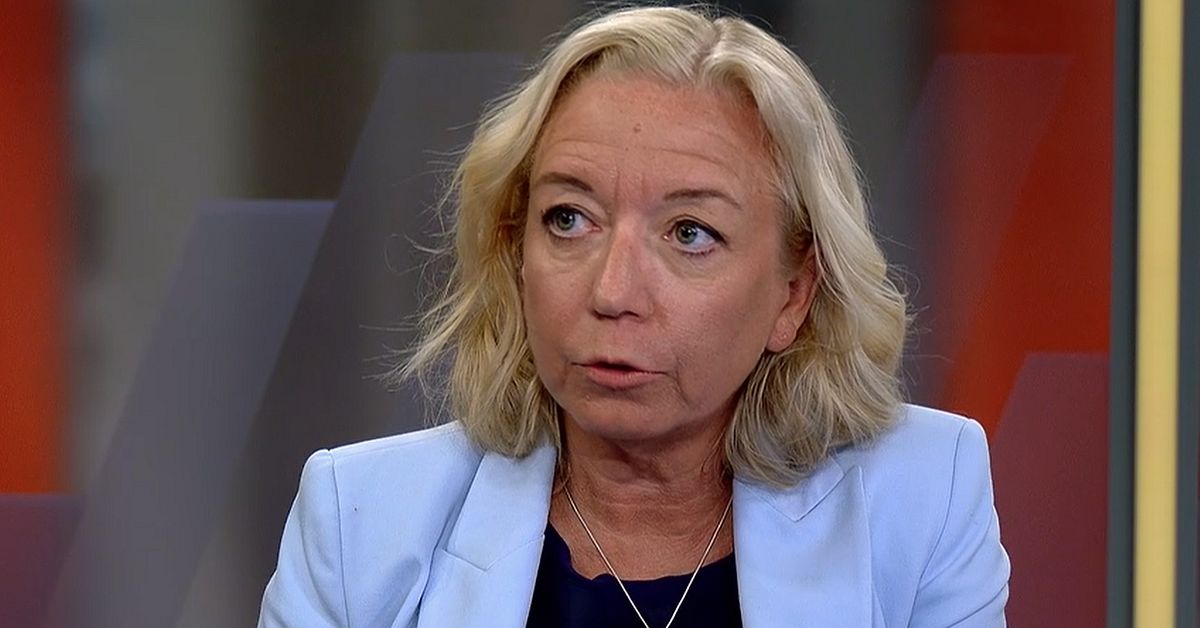 Marmorstein: Tidöpartierna ”bäddar för” att justera klimatmålen | SVT ...