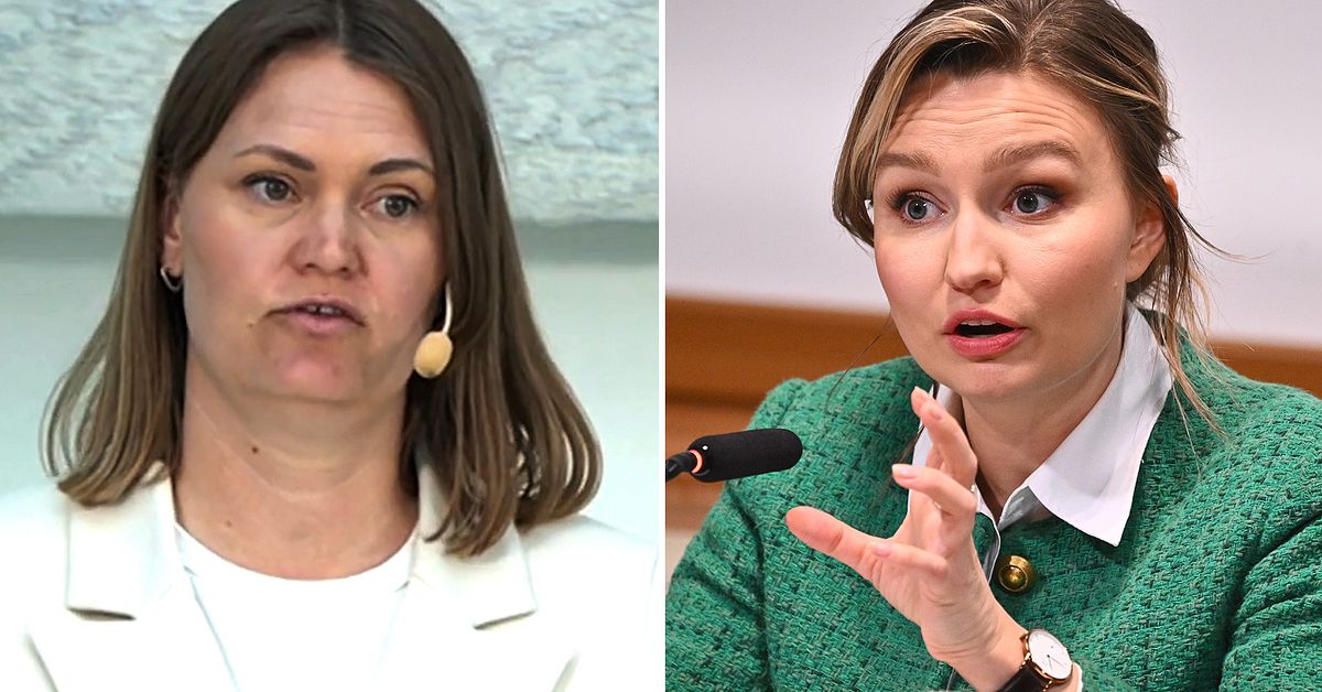 Regeringens expertråd sågar elstöden – är för stora | SVT Nyheter