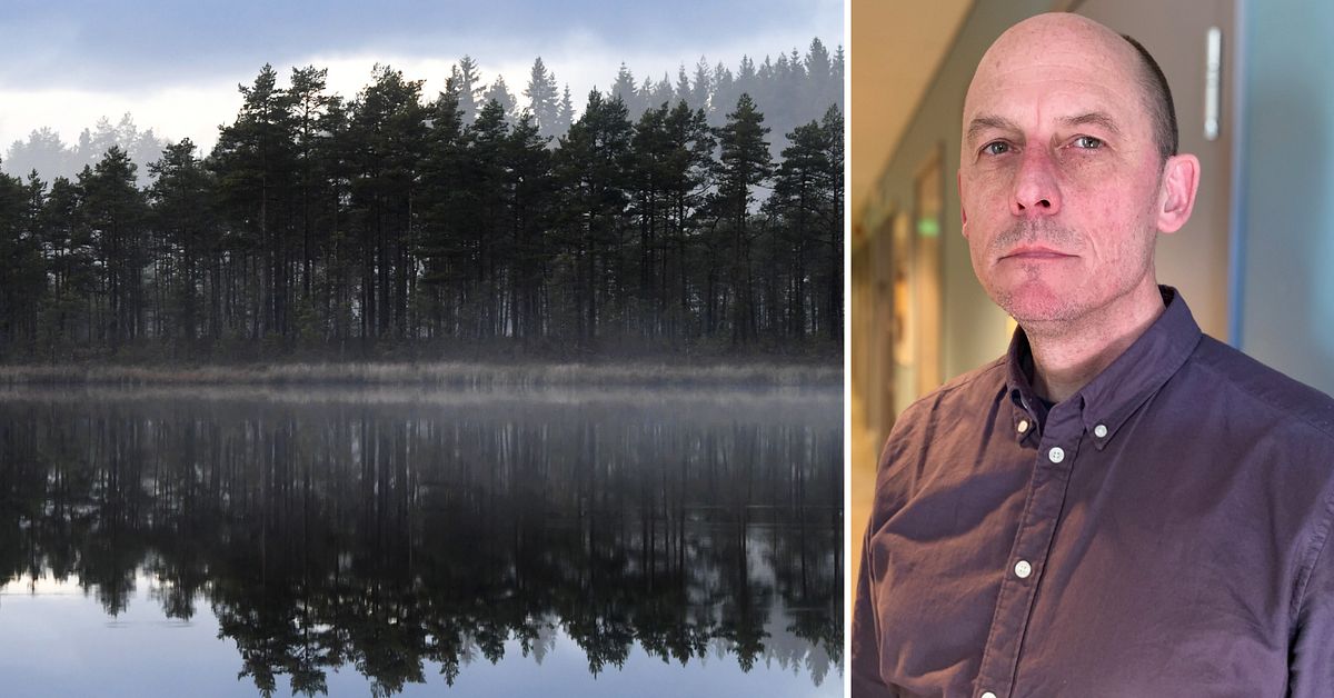 Så arbetar polisen när någon anmäls försvunnen | SVT Nyheter