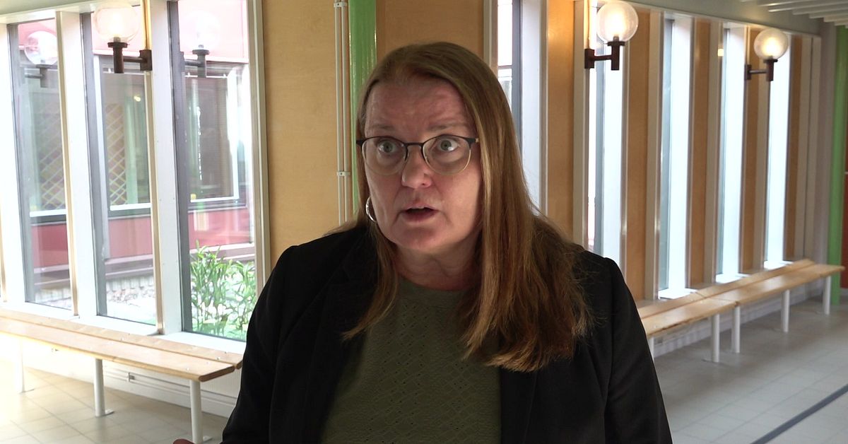 Anna-Lena Danielsson (S) om sommaren i sjukvården: ”Det kommer bli ...