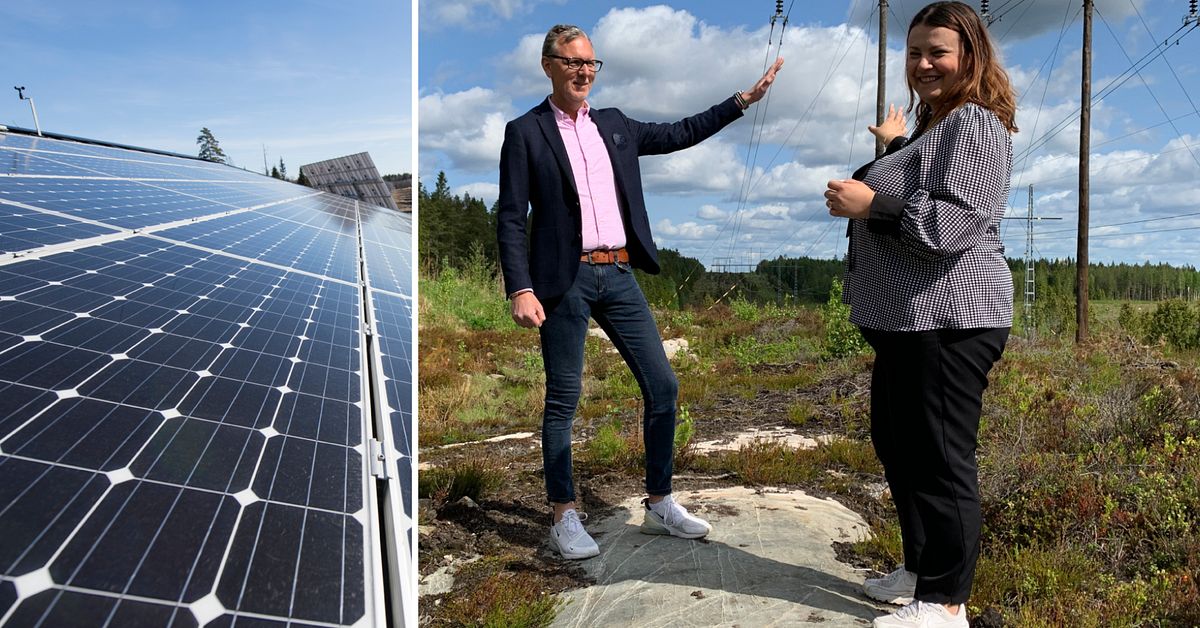 En av Sveriges största solcellsparker planeras i Horndal | SVT Nyheter