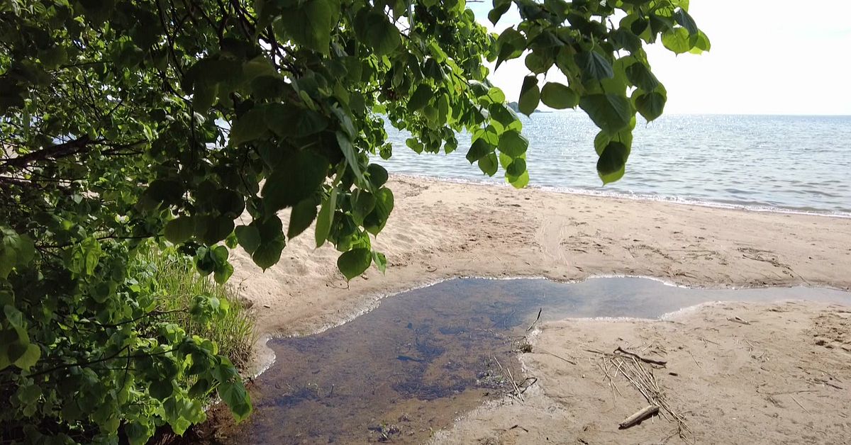 Varamon och Gotska sandön med på lista över landets vackraste stränder ...