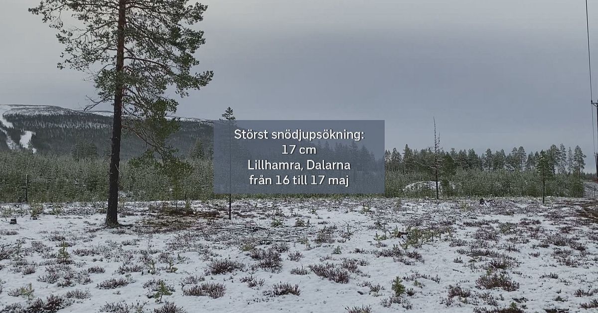 Analys: ”Maj 2023: Torrt – torrare – men inte torrast” | SVT Nyheter