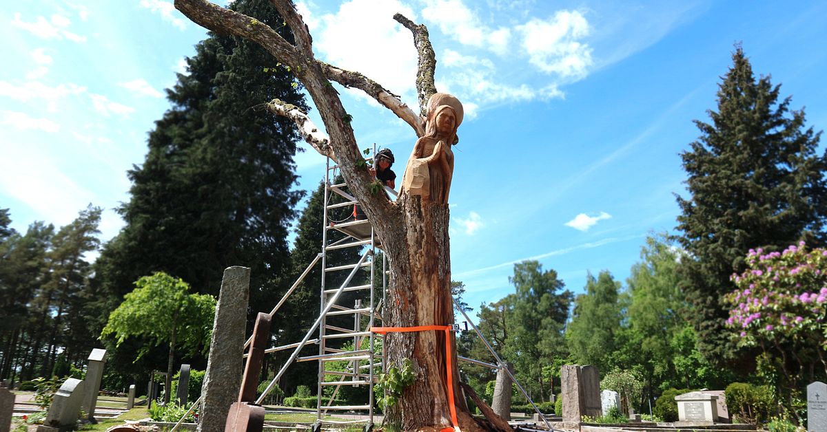 Kyrkogårdens almar dör – här ger konstnären träden nytt liv | SVT Nyheter