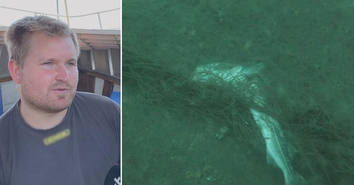 Fiskaren André städar spökgarn från havsbotten: ”Är gamla synder som ...