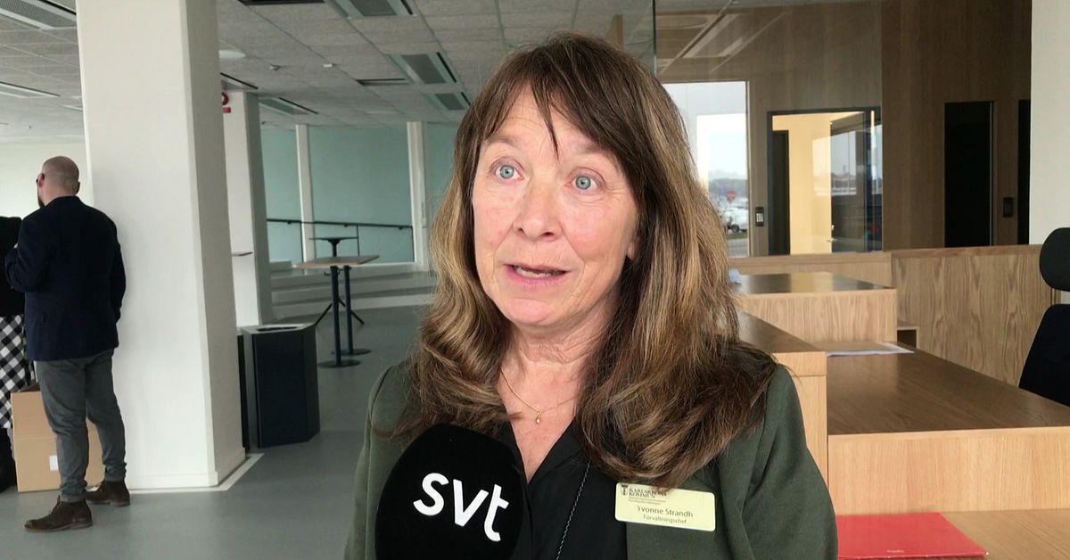 Chefen för Karlskronas kunskapsförvaltning Yvonne Strandh slutar | SVT Nyheter