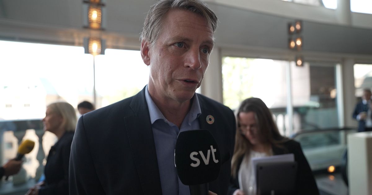 MP: ”Skolan avgörande” | SVT Nyheter