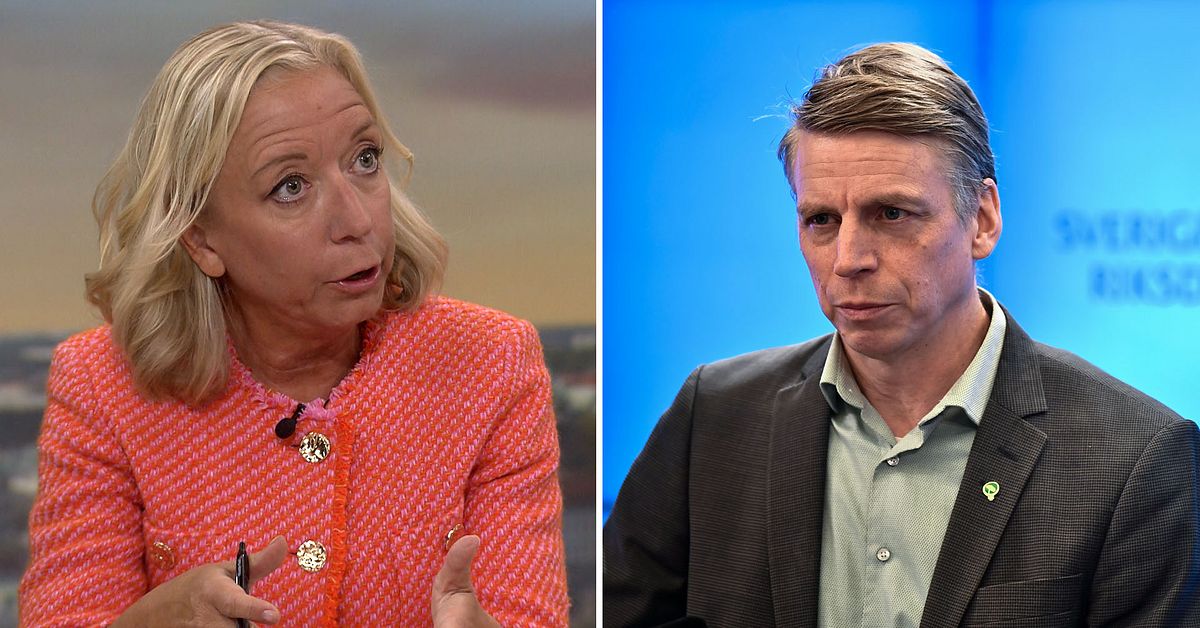 Elisabeth Marmorstein: De kan ta över efter Per Bolund | SVT Nyheter