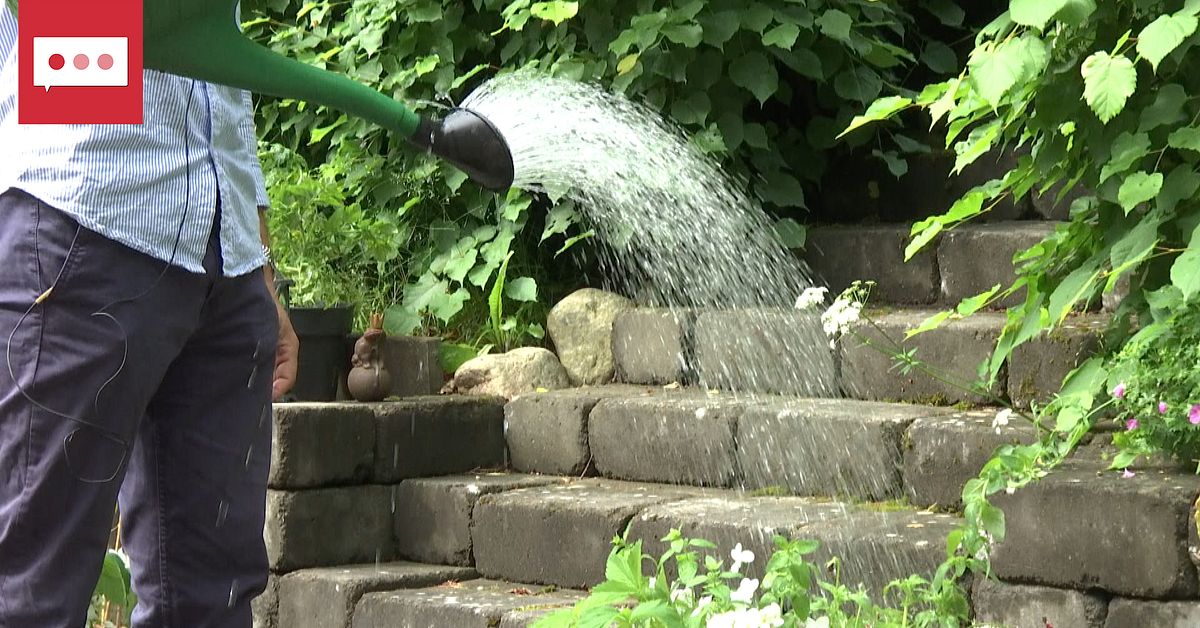 Tipsen: Så kan du spara på vatten – och ändå svalka dig | SVT Nyheter