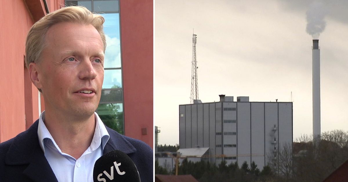Telge energis VD: Indikationerna är att vi blir kvar i Södertälje | SVT ...