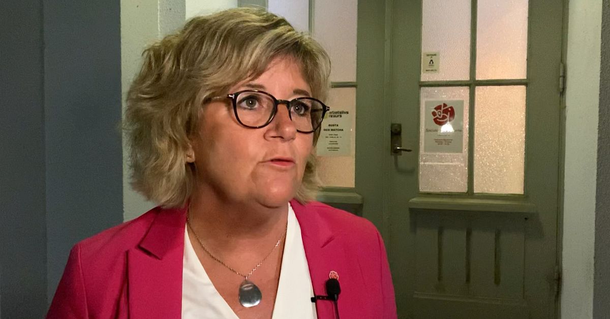 Beskedet: Regionpolitikernas arvoden ska granskas | SVT Nyheter