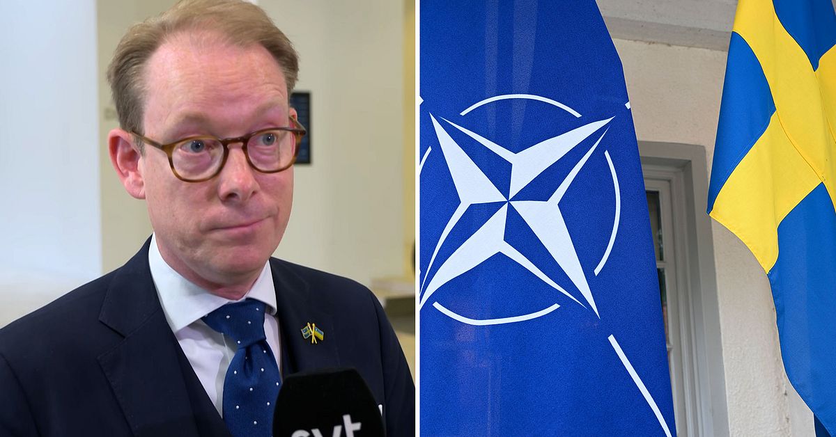 Nato-chefen: Nytt möte i Bryssel om svenska medlemskapet snart | SVT Nyheter