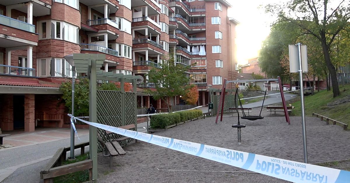 19 åring Mördades I Saltskog Två Män Frikänns För Medhjälp Till Mord