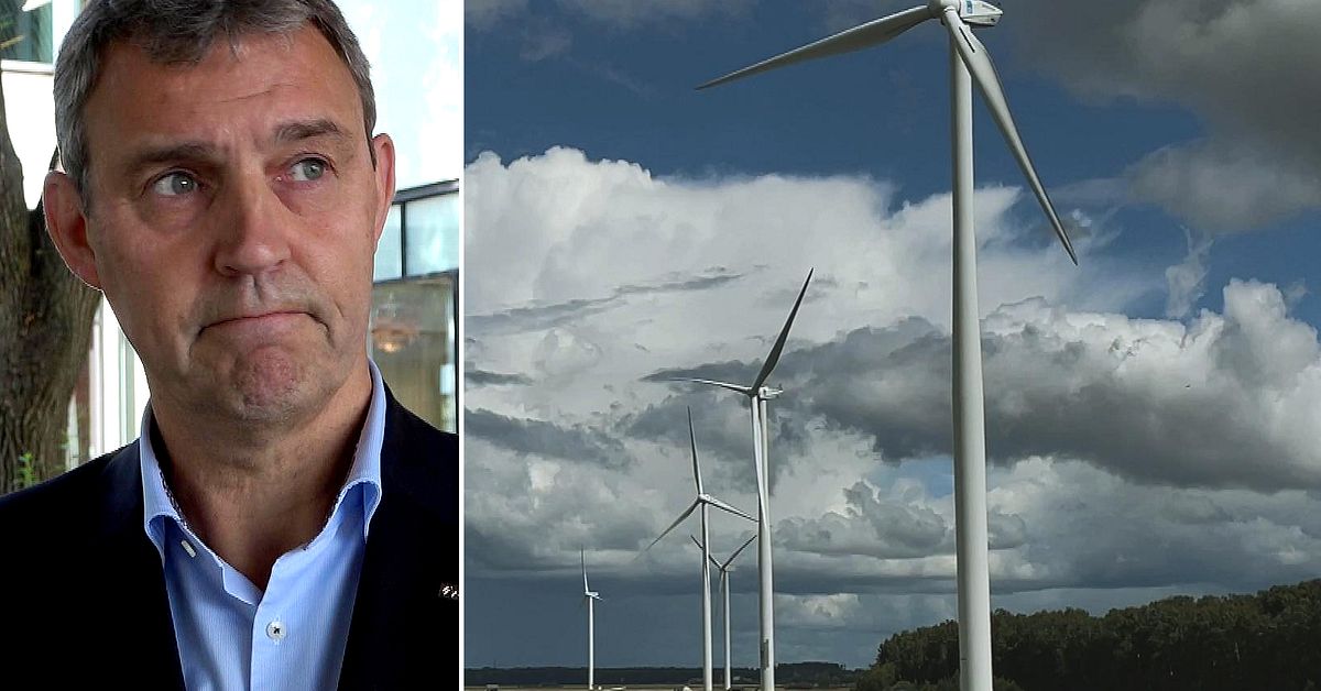 Skogsjätten sätter press på regeringen om vindkraften – ”Satsningen på grön industri hotas ...