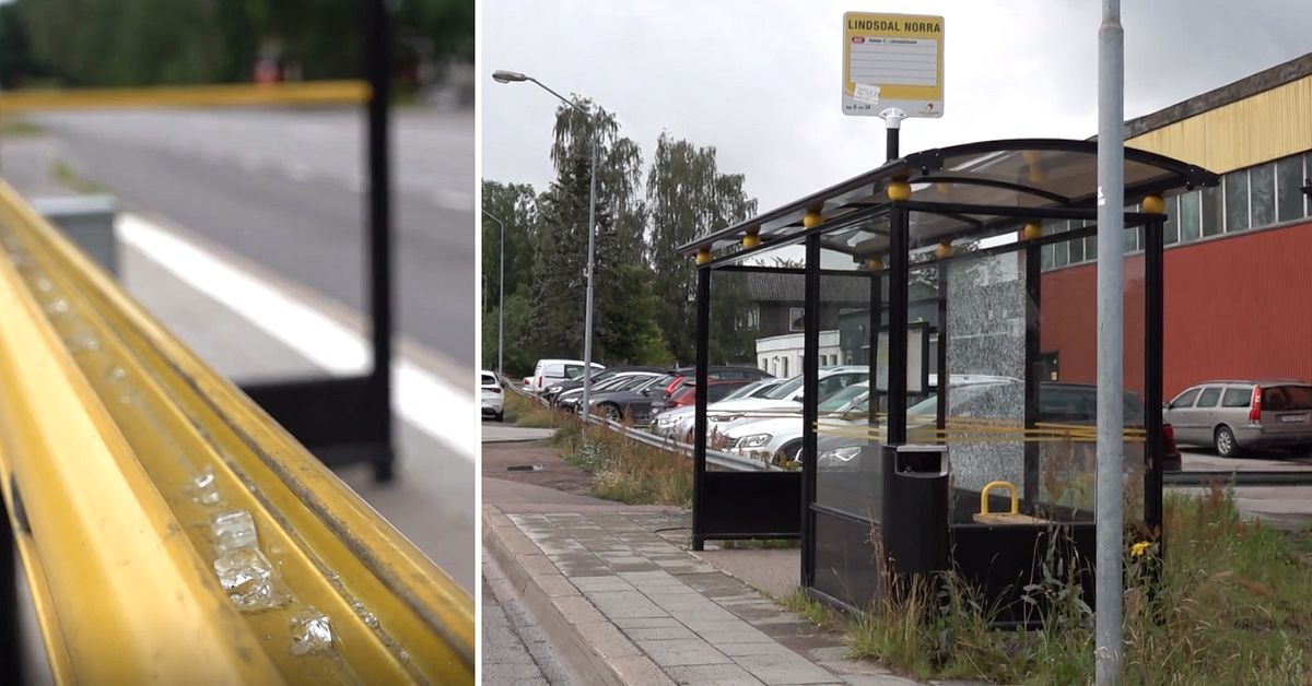 50 rutor till busskurer i Kalmar län krossade: ”Väldigt tråkigt” | SVT ...