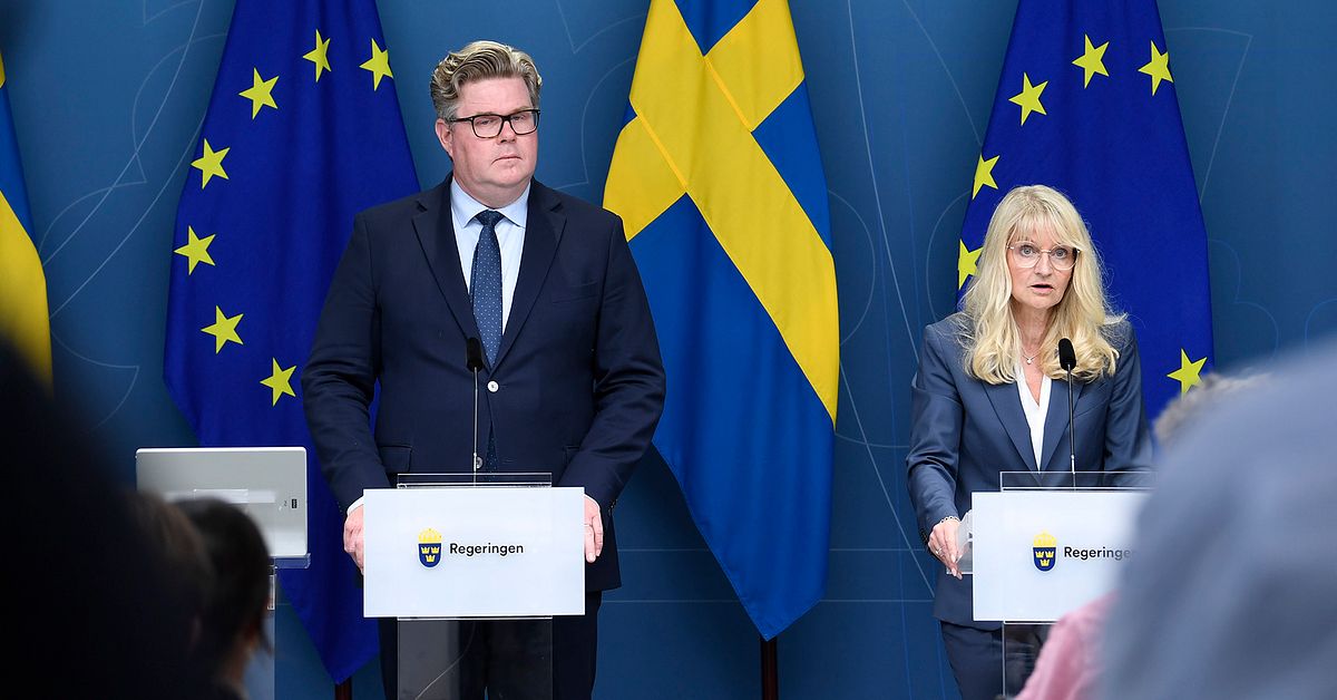 Strömmer (M): Regeringen ska stärka skyddet mot terrorism | SVT Nyheter