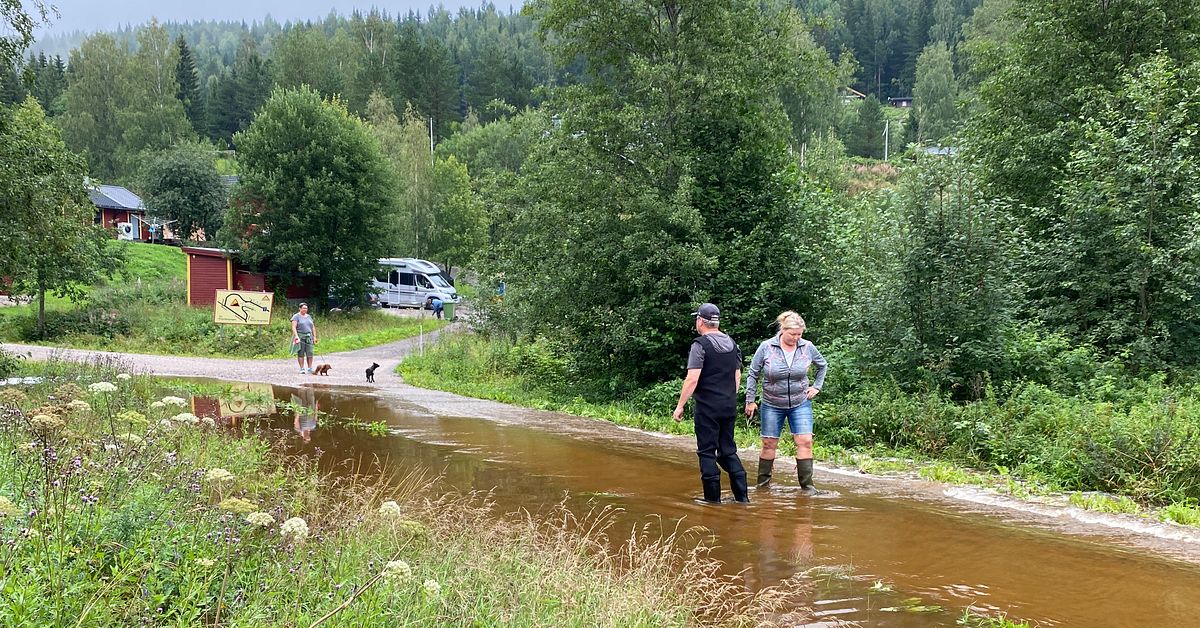 Boende i Nyängsviken i Hällsjö oroliga att väg ska spolas bort | SVT ...
