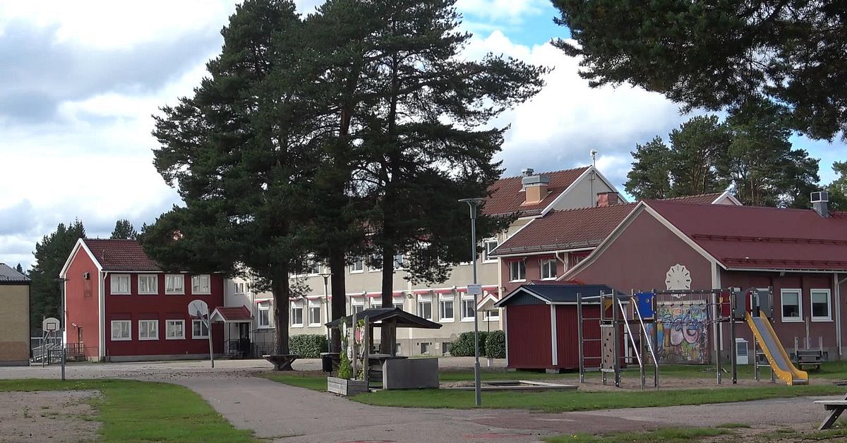Skolan i Lillhärdal hotas av nedläggning | SVT Nyheter